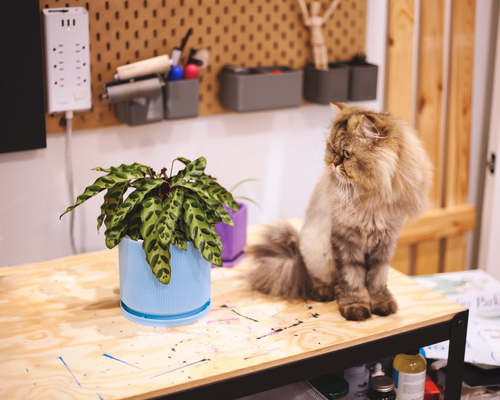 6 inch mid century modern planter (vase mode) by Catdad Workshop | Download free STL model ...