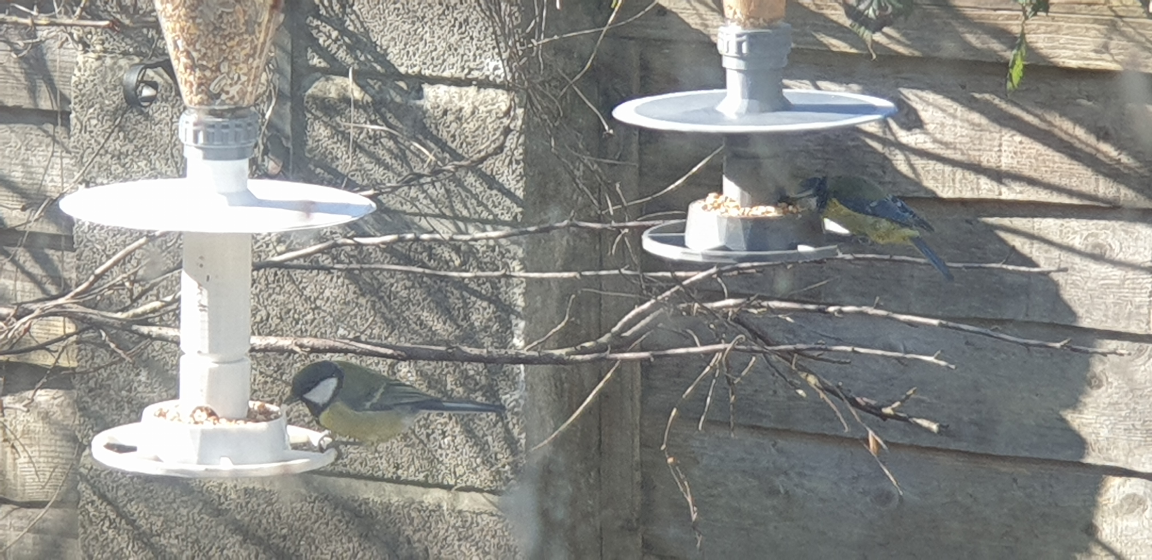 Bird Feeder and Ground Feed Spreader - MilkThreadAdapter-bird-base ...