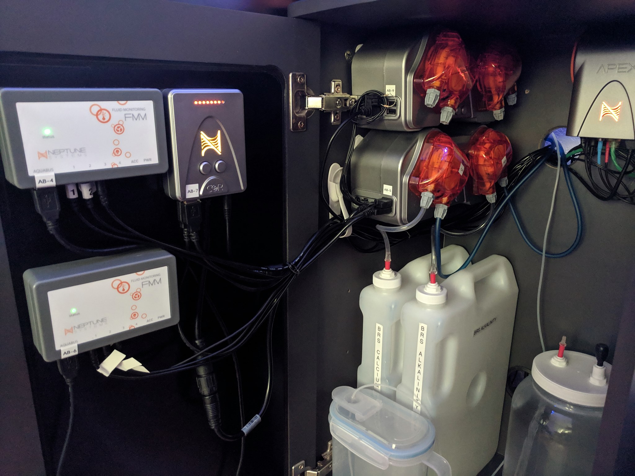 Apex Module Command Strip Mount by revnull | Download free STL model ...