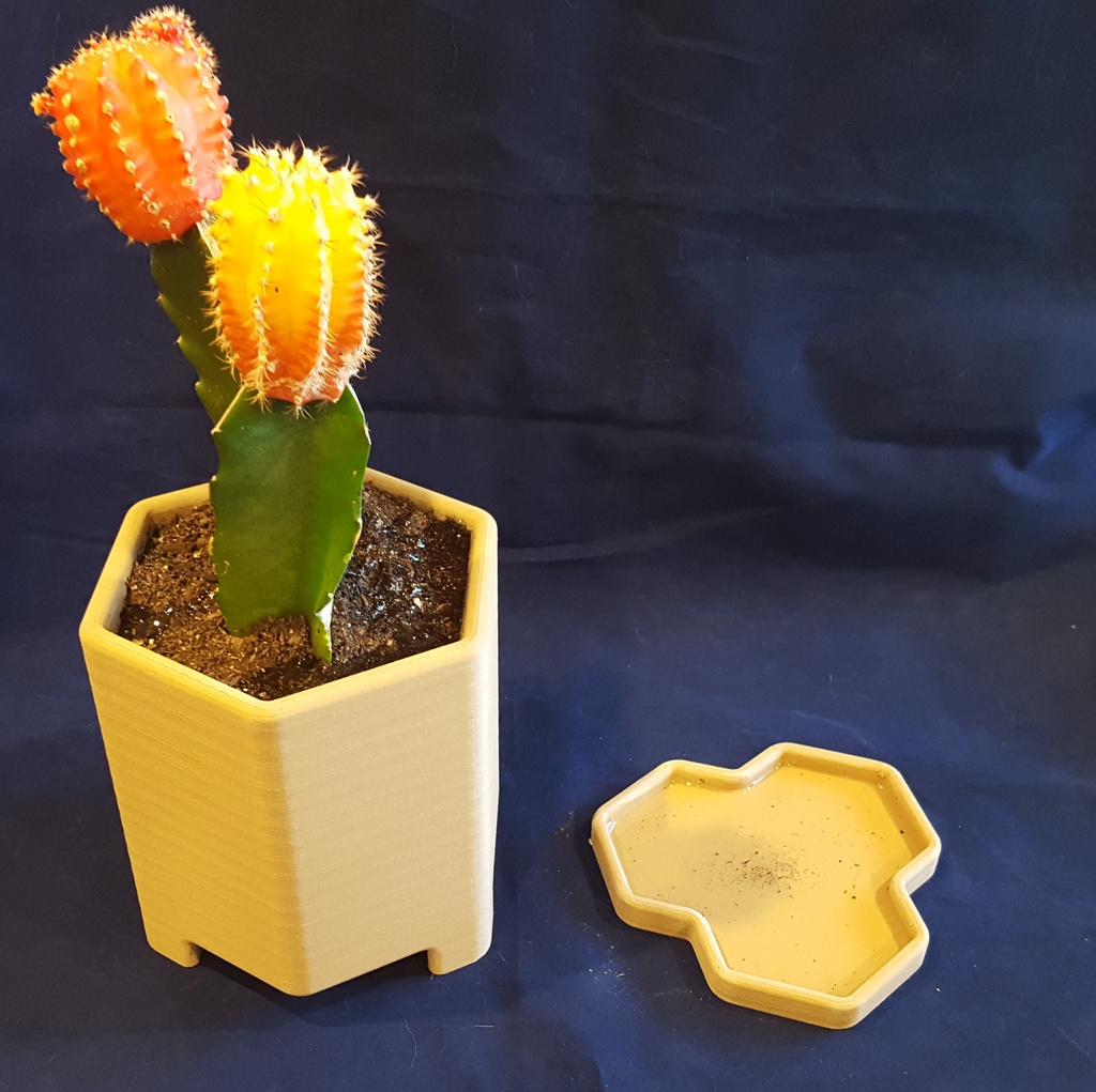 1 Hex Flower Pot by SkippyMcSlappyPants | Download free STL model ...