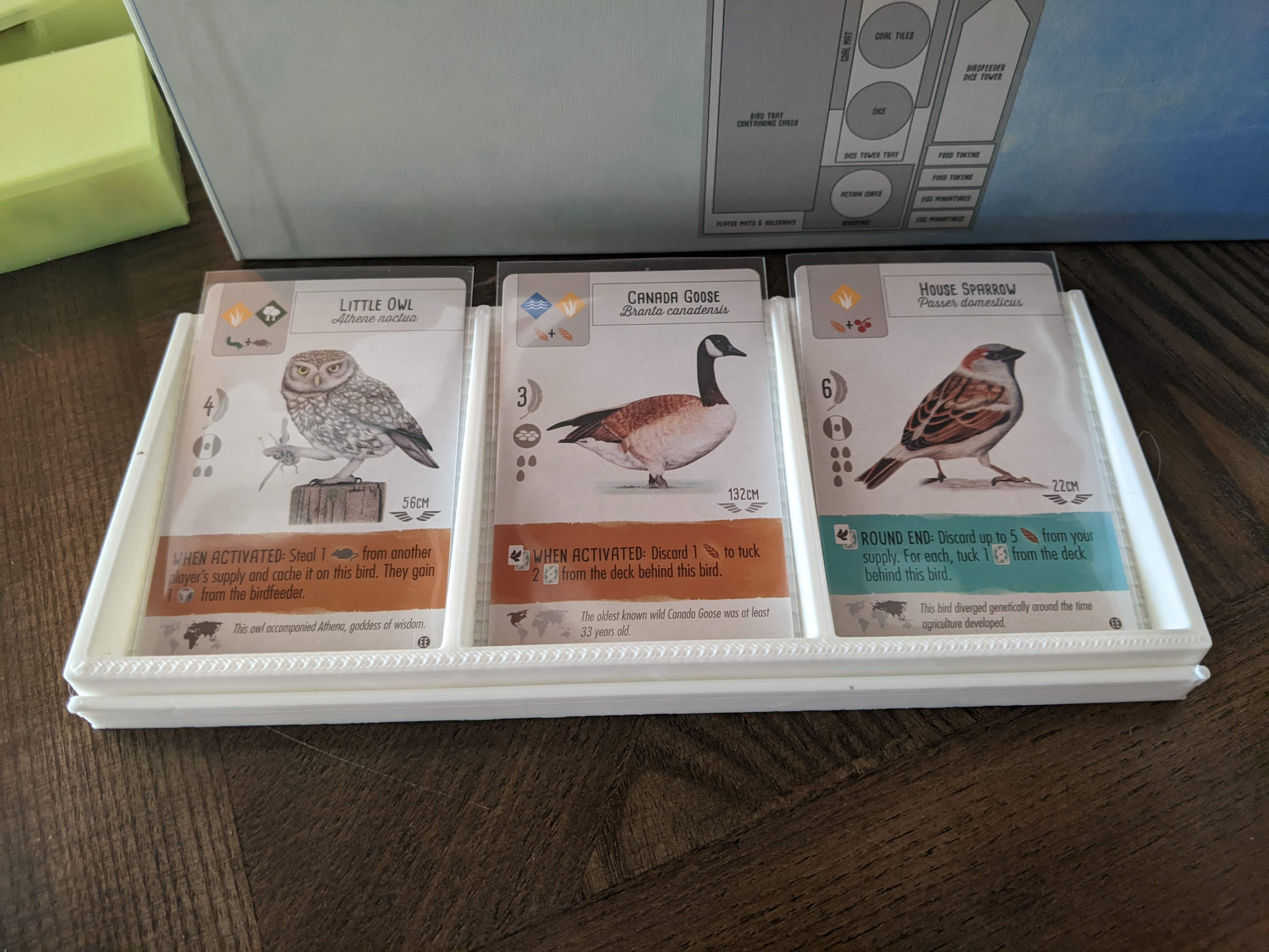 Wingspan Box insert for core, European, Oceania, and Asia expansions - sleeved cards (2 boxes ...