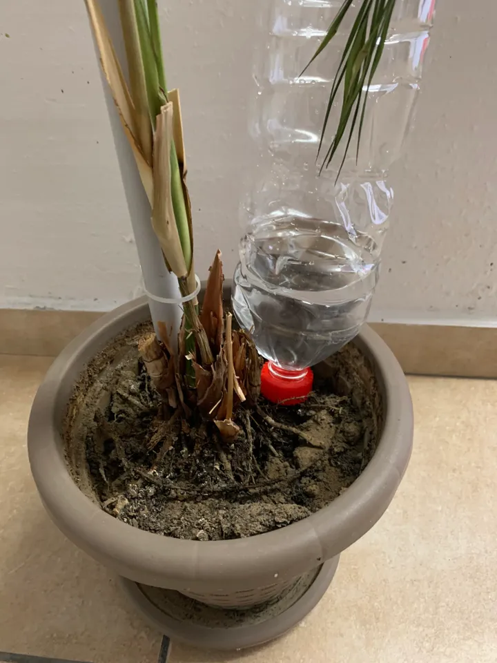 Self Watering spike by MINILab3D | Download free STL model | Printables.com