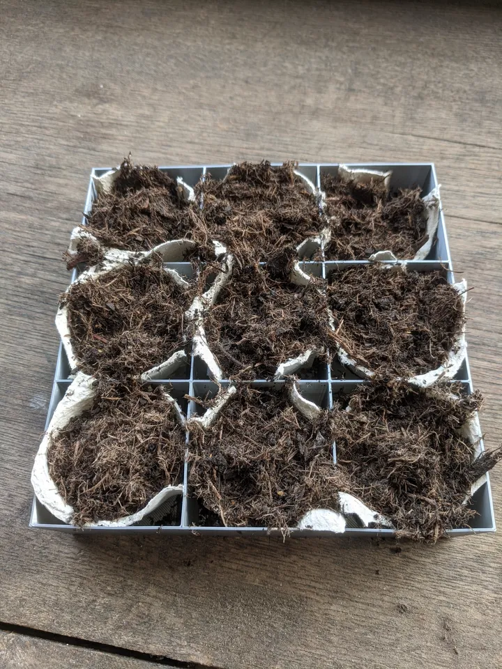 seeding grid by bitmeisterei | Download free STL model | Printables.com