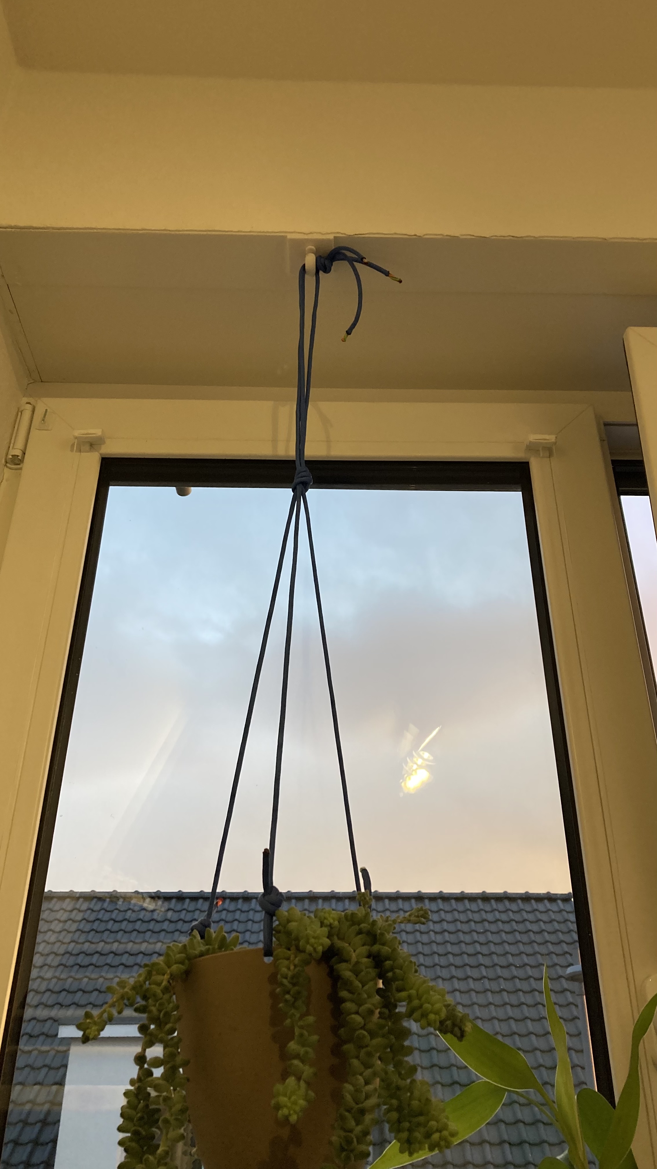 Unsiversal ceiling and wall hook by AJD | Download free STL model ...