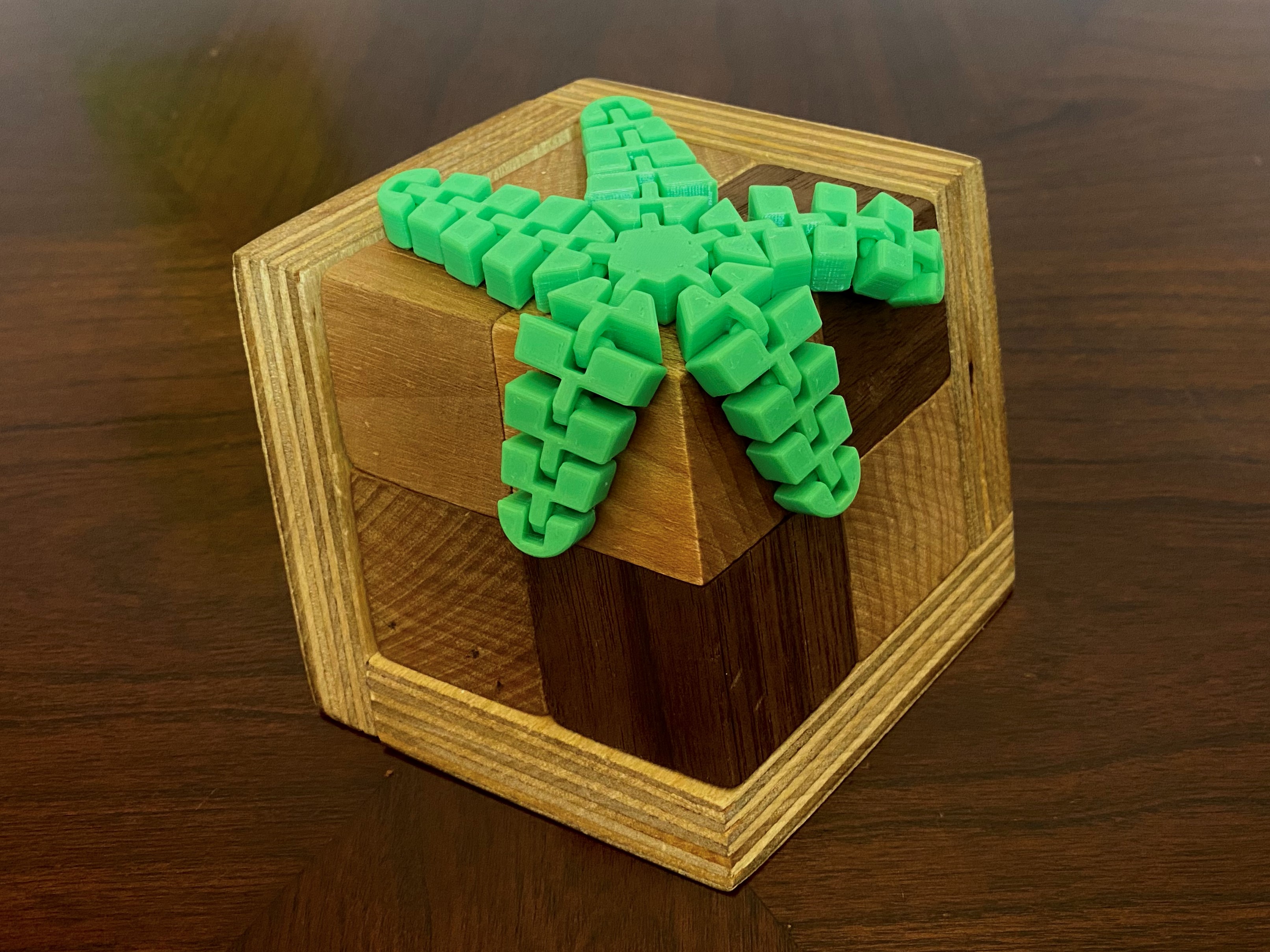 Flexi Starfish by Stone Pestle | Download free STL model | Printables.com