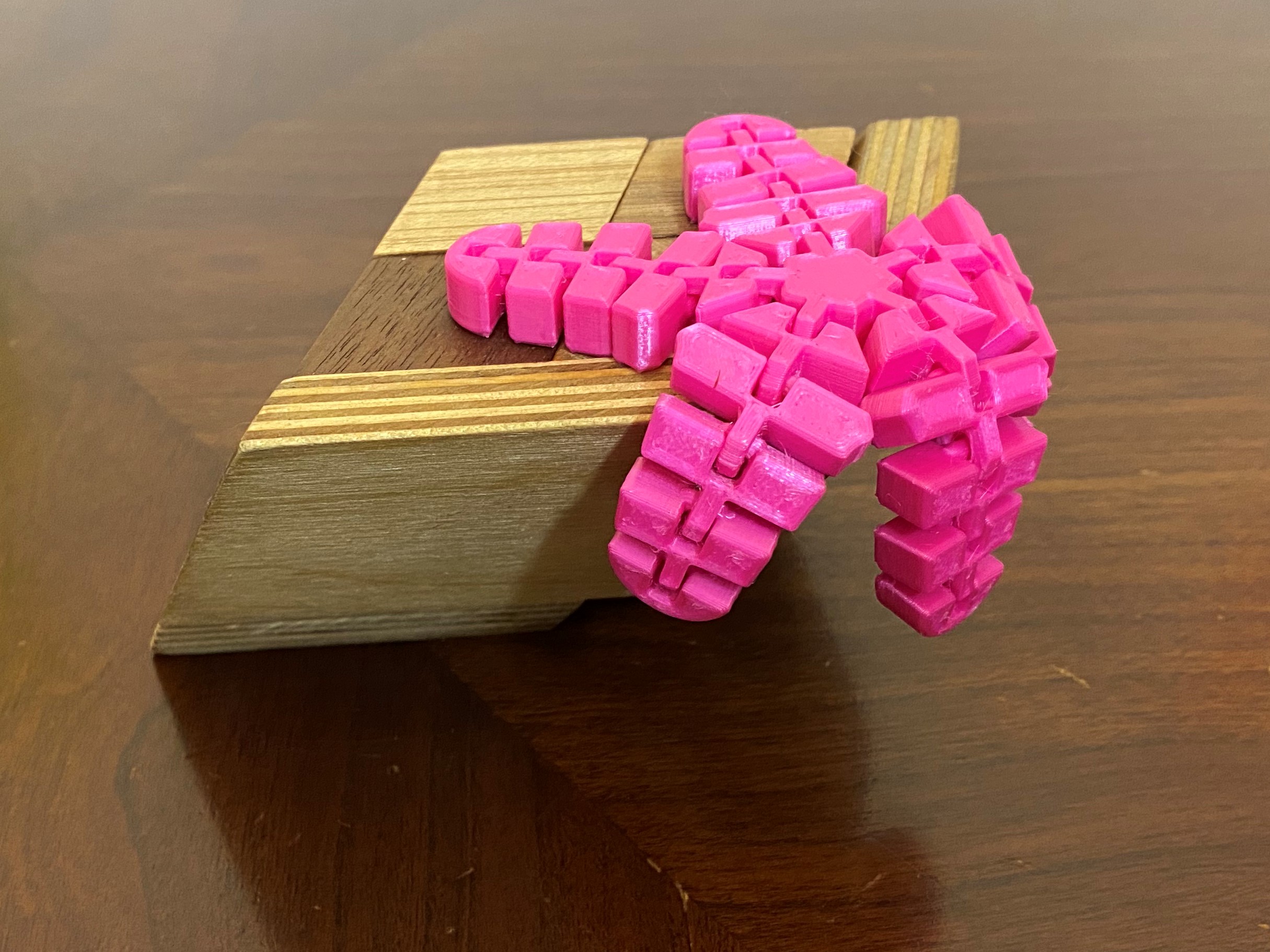 Flexi Starfish by Stone Pestle | Download free STL model | Printables.com