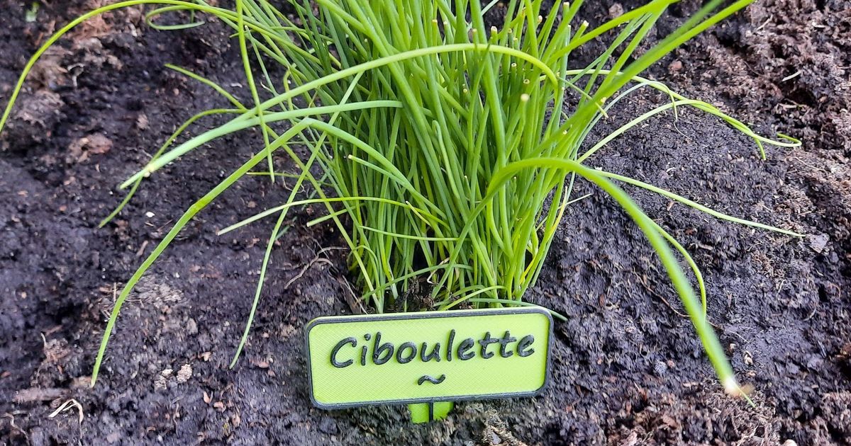 Ciboulette Panneau de Jardin by jerrydi | Download free STL model ...