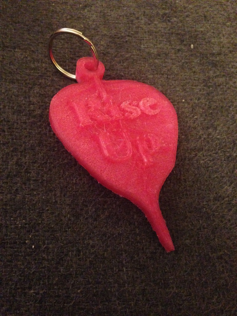 Rise Up: inspirational leaf keychain by pinkbeetle | Download free STL ...