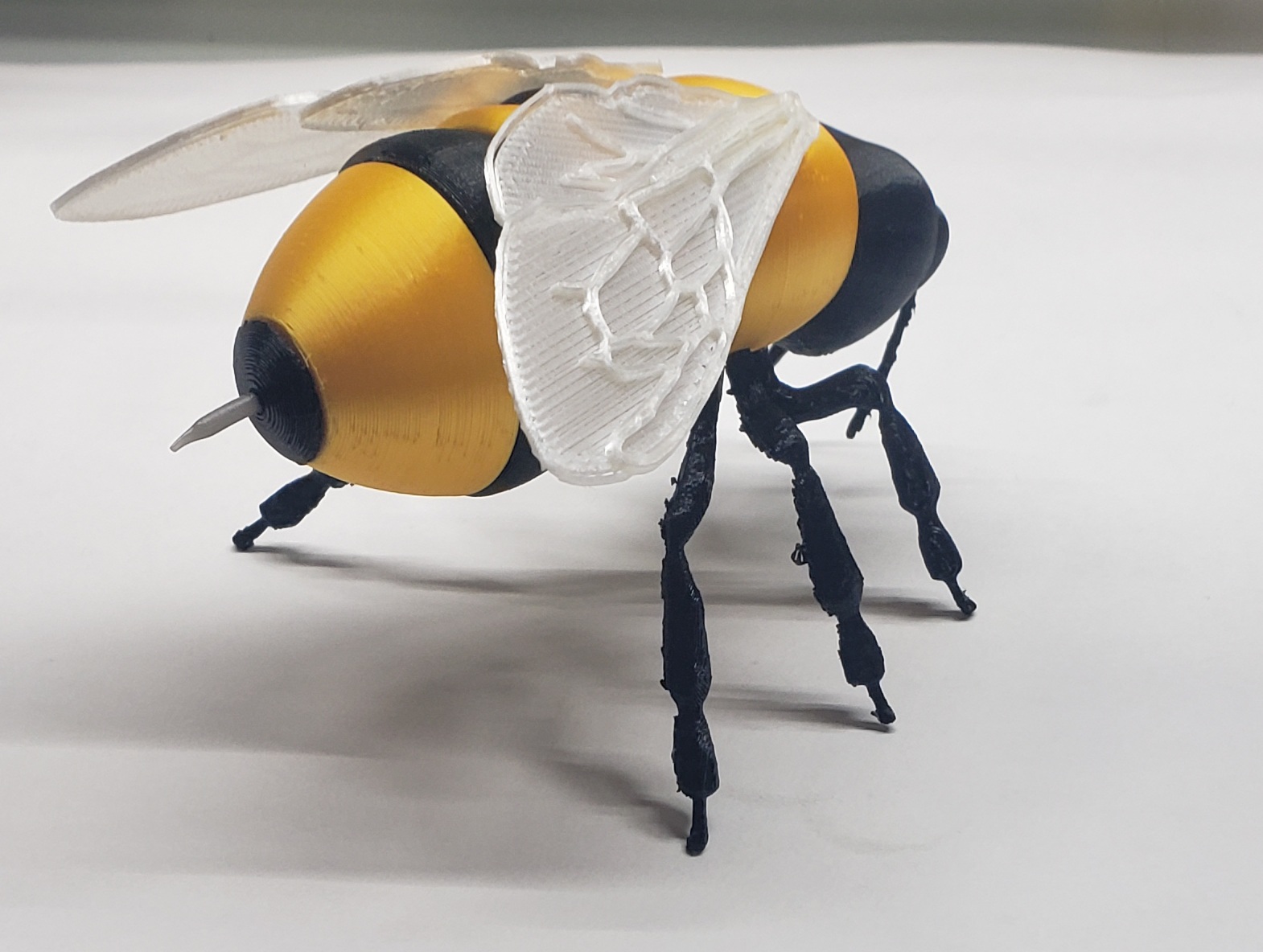 HoneyBee by 3DBuzzStudios by 3dBuzz Studios | Download free STL model ...