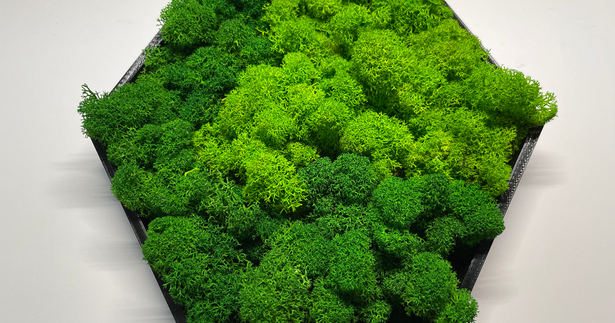 Moos Hexagon Wall Element by Stephan Küffner | Download free STL model ...