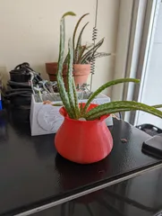 Small Vase by max-102 | Download free STL model | Printables.com