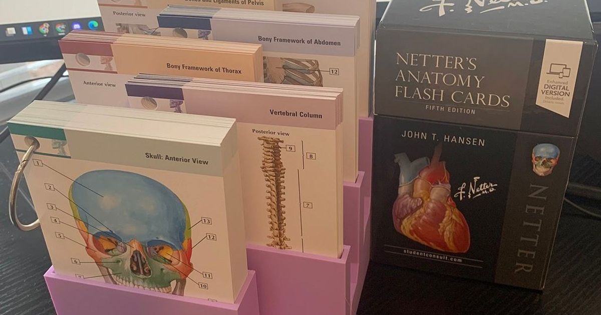 Netter's Flashcard Display (Staggered) by Hunter Adams | Download free ...