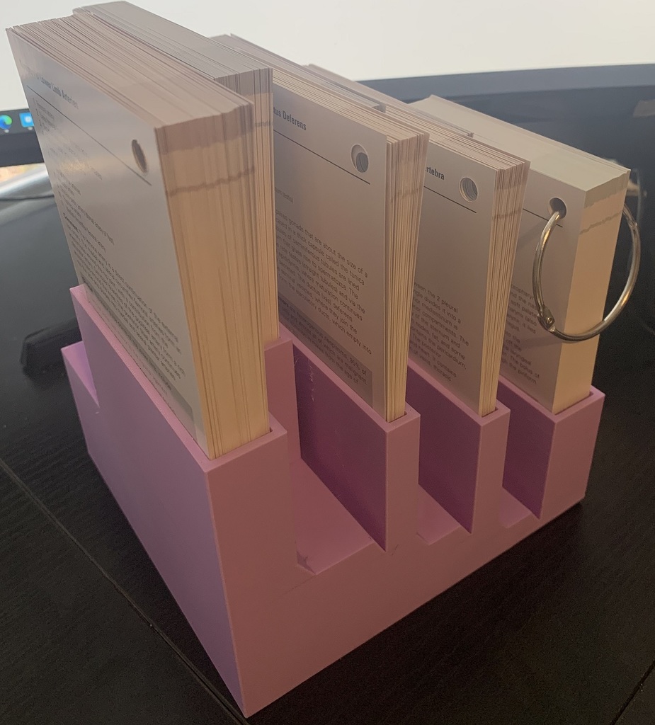 Netter's Flashcard Display (Staggered) by Hunter Adams | Download free ...