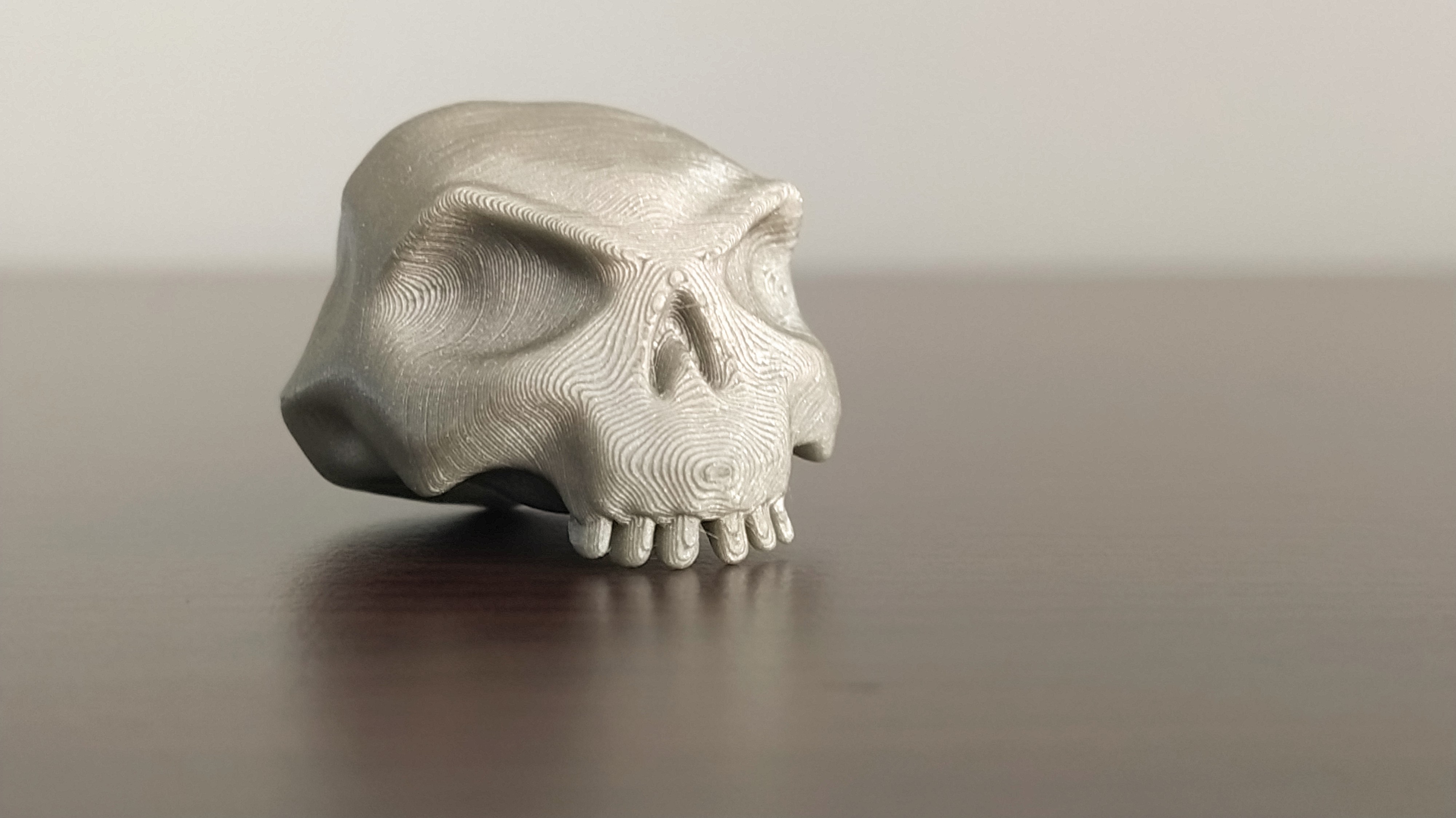 SoT skull by Zatarra | Download free STL model | Printables.com