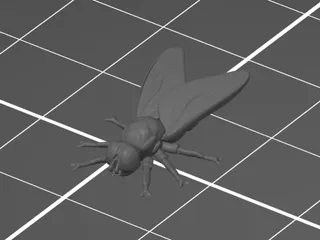 Fake Fly by 3DPrintNovesia | Download free STL model | Printables.com