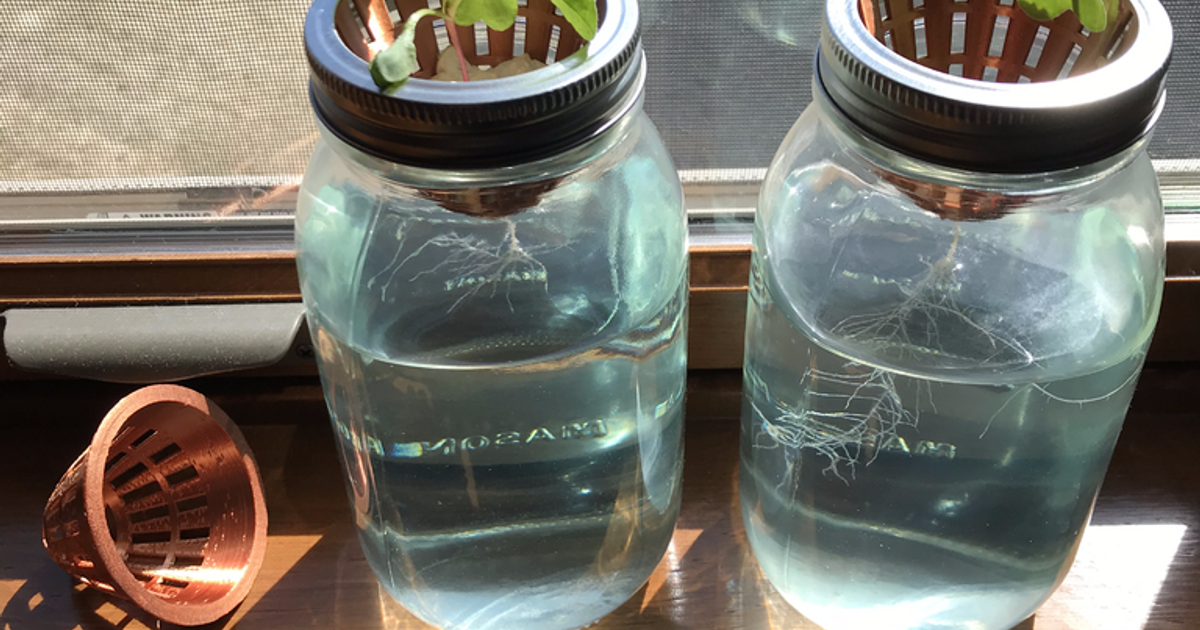 Supportless Net Cup 2inch, 3inch, 60mm by theduckom | Download free STL ...