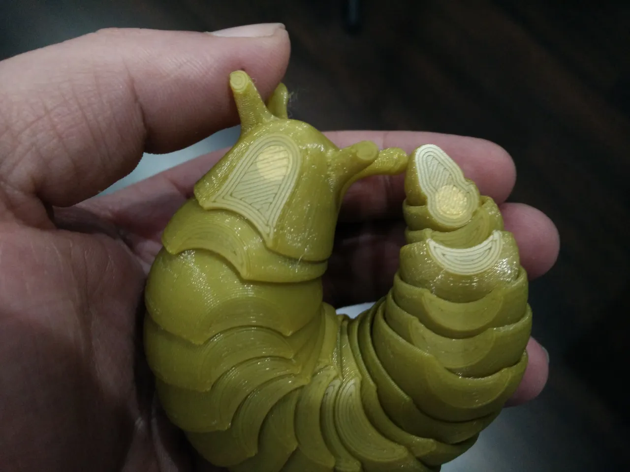 Friendly Articulated Slug with hidden magnets by Mike | Download free ...