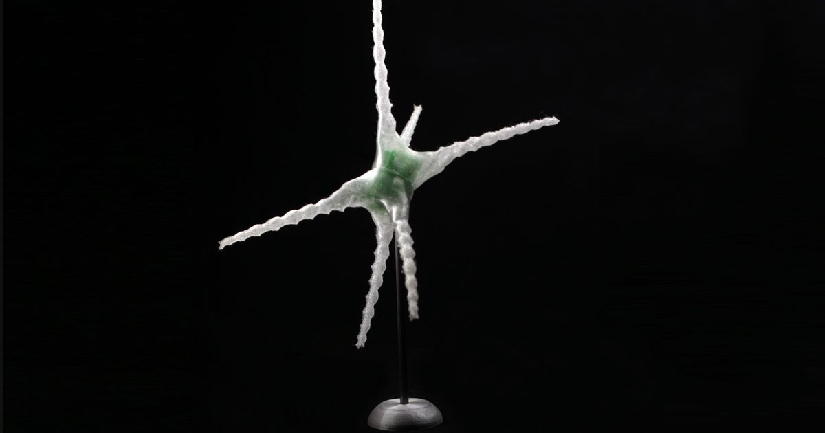 Microcosm: Green Alga Display Model by pongant | Download free STL ...