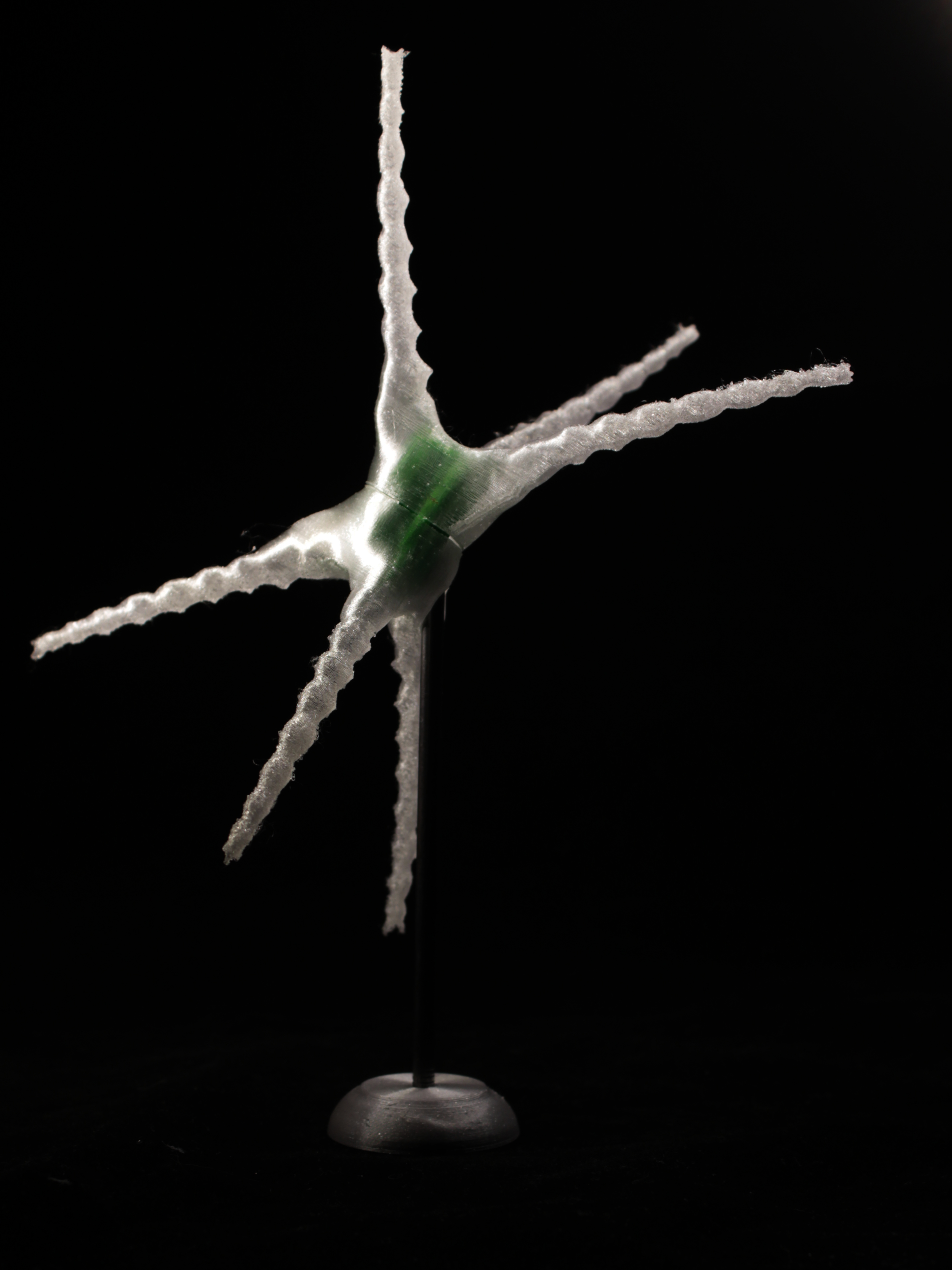 Microcosm: Green Alga Display Model by pongant | Download free STL ...