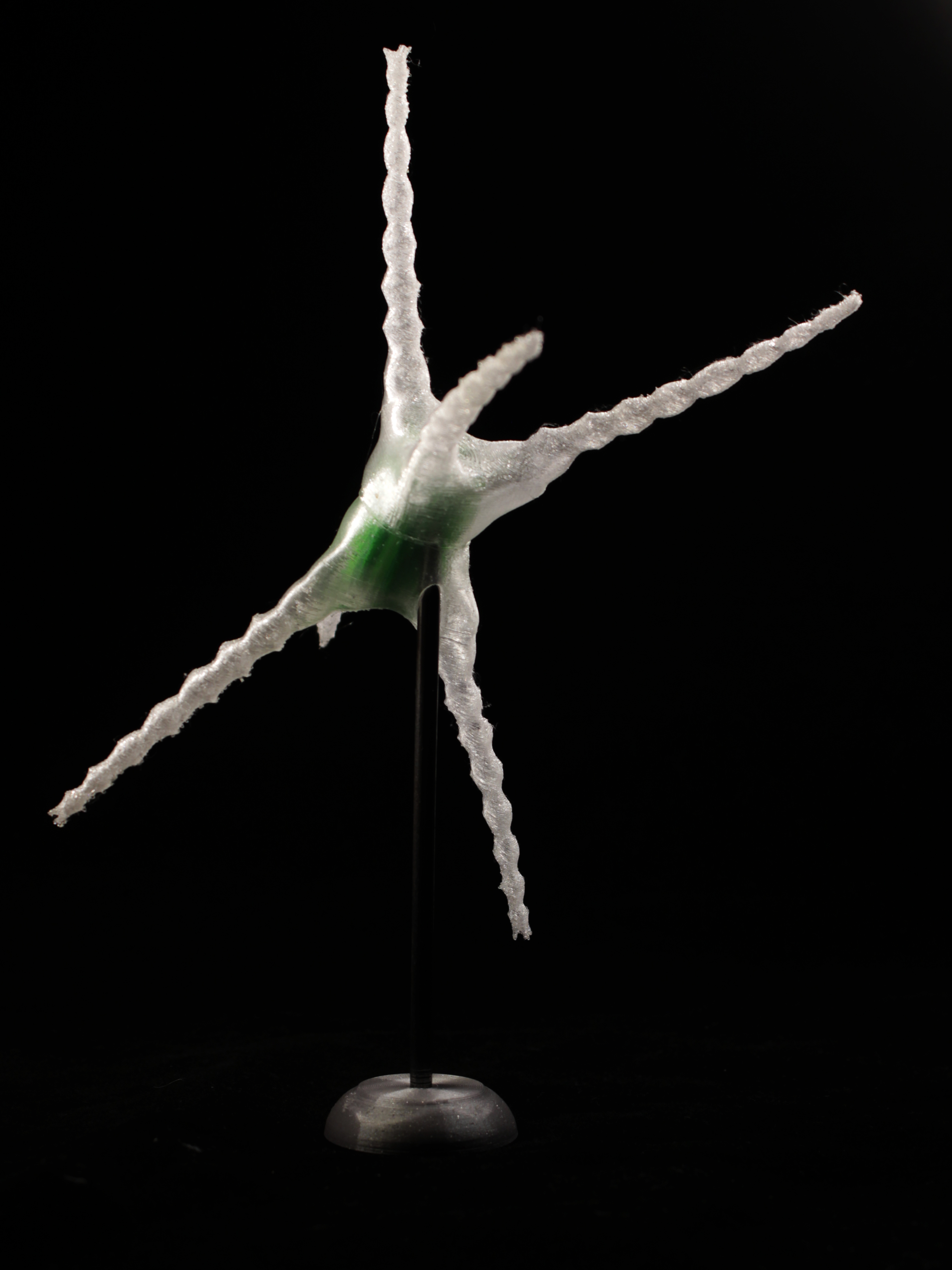 Microcosm: Green Alga Display Model by pongant | Download free STL ...