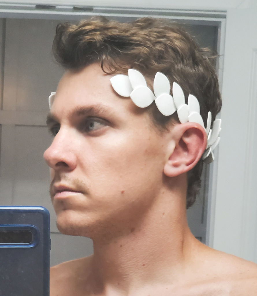 Greek laurel by Drewgolas | Download free STL model | Printables.com