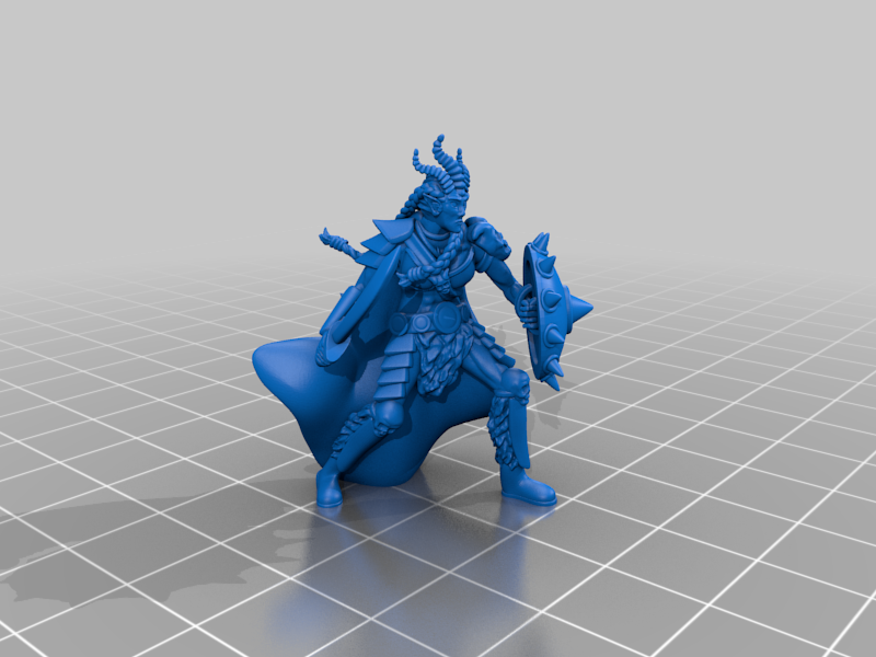 Gloomhaven Female Inox Brute by VirtuallyJason | Download free STL ...