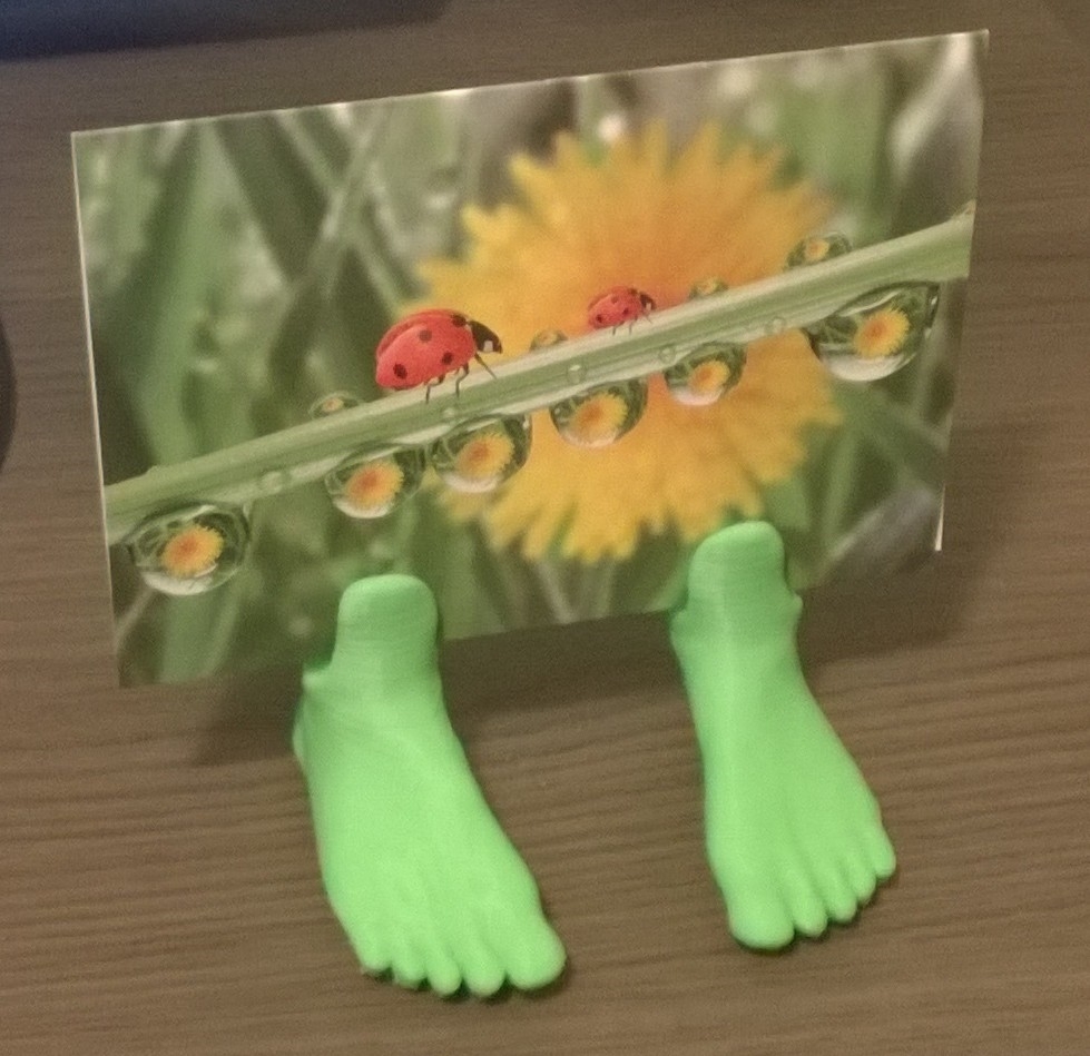 Card Feet by Quin | Download free STL model | Printables.com