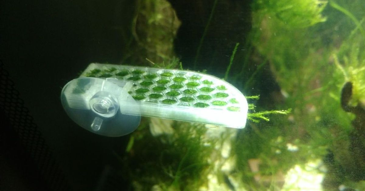 Moss Shelf/Ledge by Foppemoa | Download free STL model | Printables.com