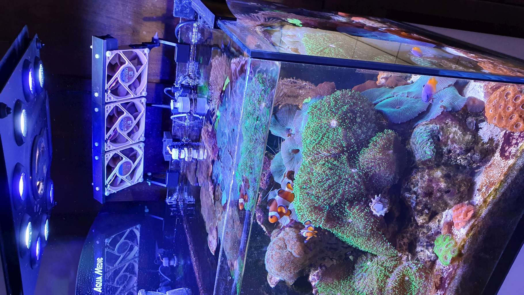 Extra silent and modular Fish Tank/Aquarium cooler by reivax | Download ...