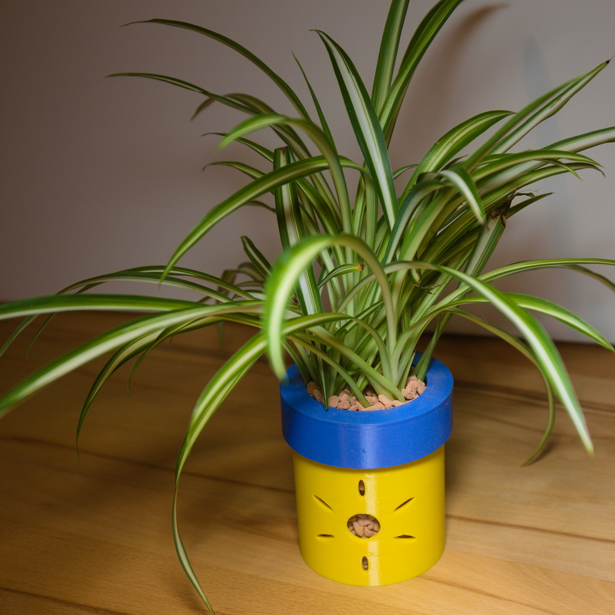 Hydroponic Plant Pot with sun. by Bene | Download free STL model ...