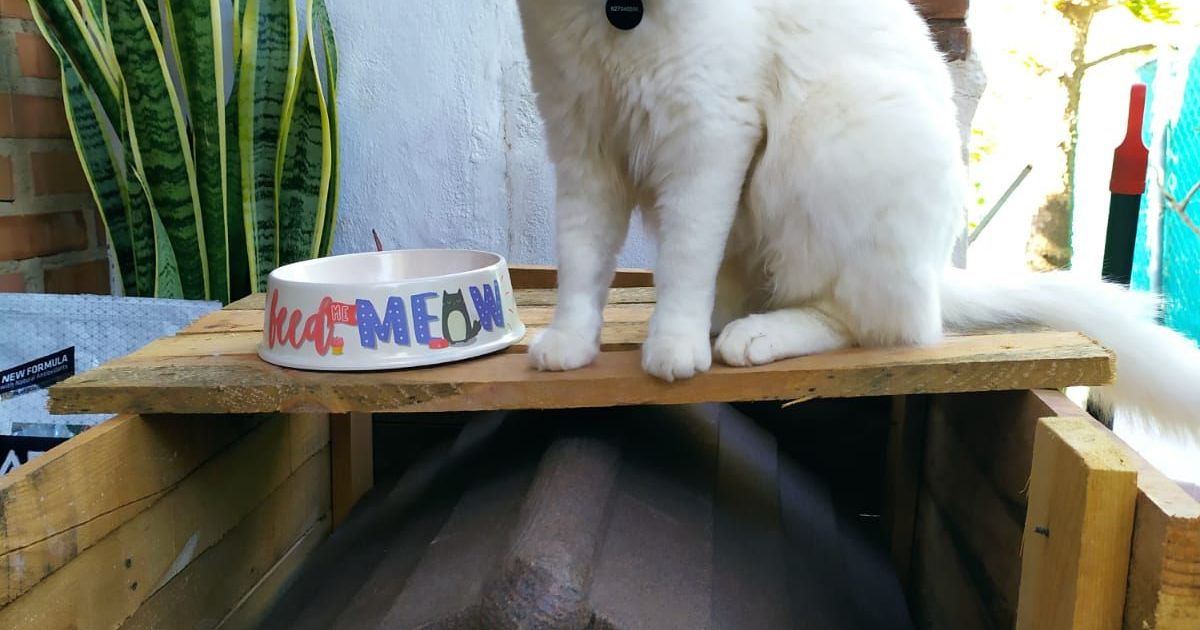 Ozzy name plate by Sp1y3rS | Download free STL model | Printables.com