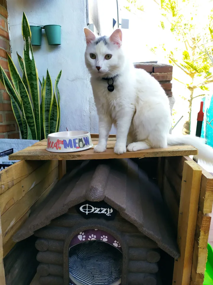 Ozzy name plate by Sp1y3rS | Download free STL model | Printables.com
