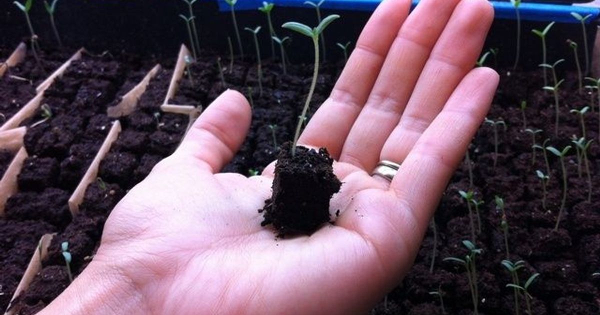 Soil Block Tongs by DeanCording | Download free STL model | Printables.com