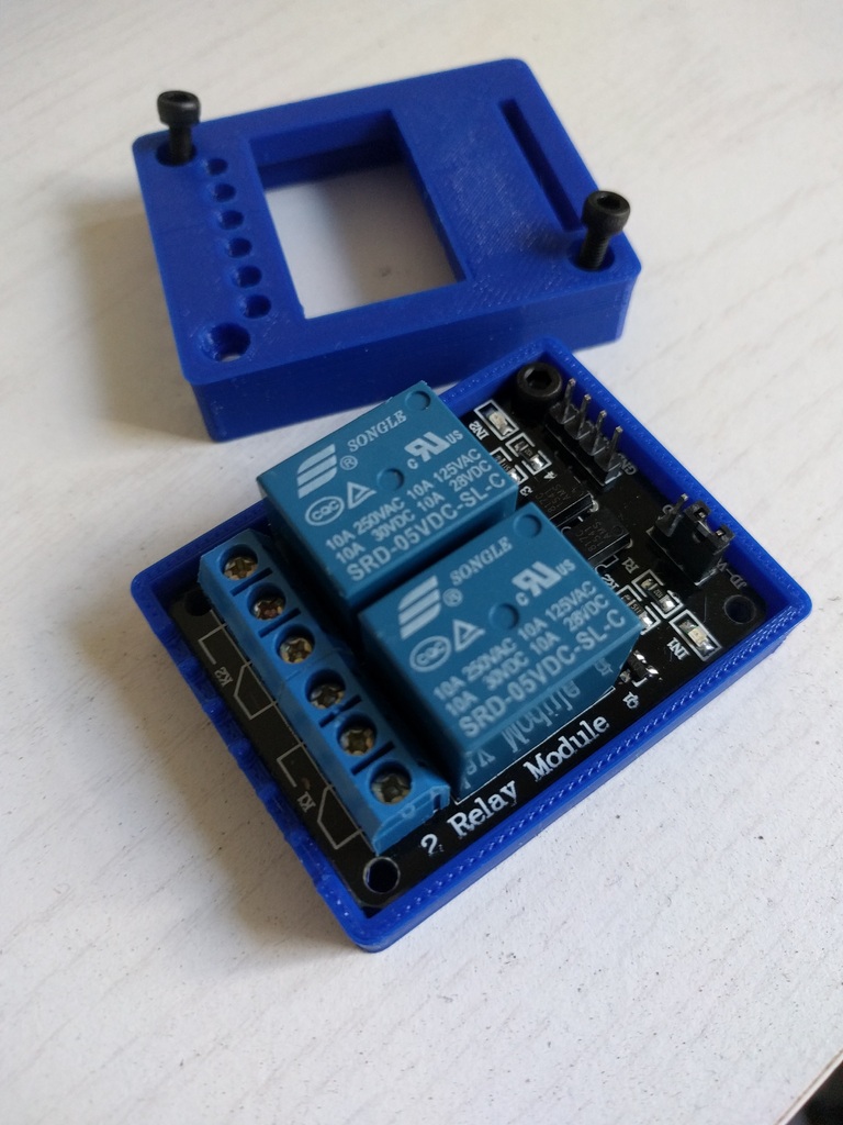 2 relays box by Choumarin | Download free STL model | Printables.com