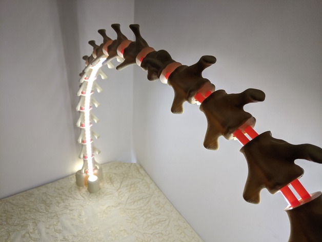 LED bridge lamp - Spine Bone by Maty | Download free STL model ...