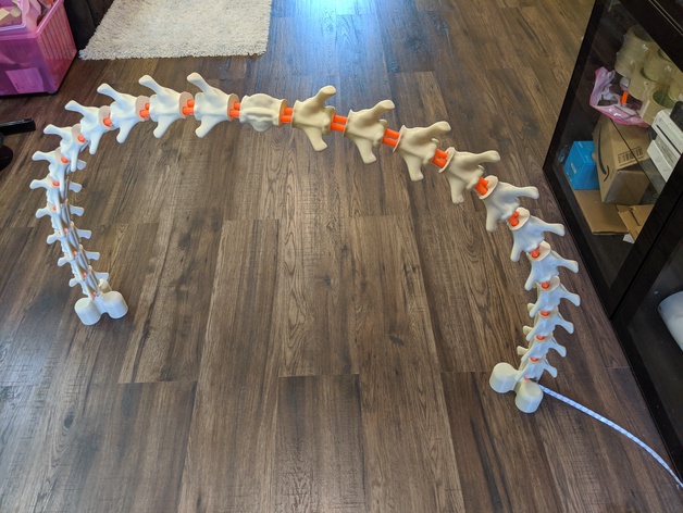 LED bridge lamp - Spine Bone by Maty | Download free STL model ...