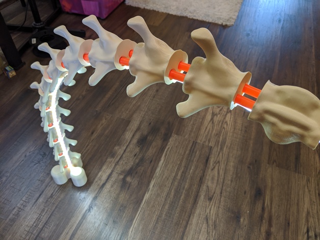 LED bridge lamp - Spine Bone by Maty | Download free STL model ...