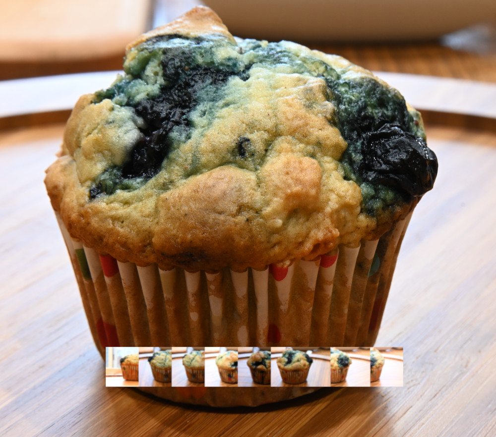 Blueberry Muffin by Joel C | Download free STL model | Printables.com