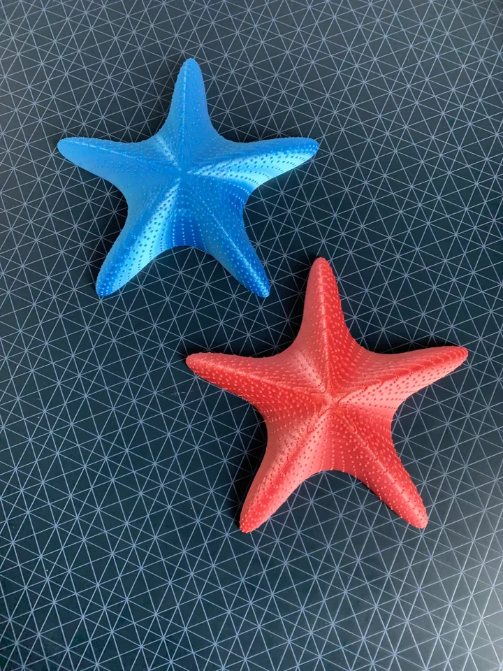 Starfish by dajanka.3d | Download free STL model | Printables.com