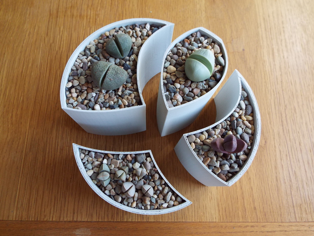 Curved segment pot with tray by MegaAndy | Download free STL model ...