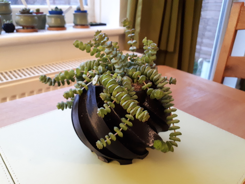 Twisted Plant Pot by MegaAndy | Download free STL model | Printables.com