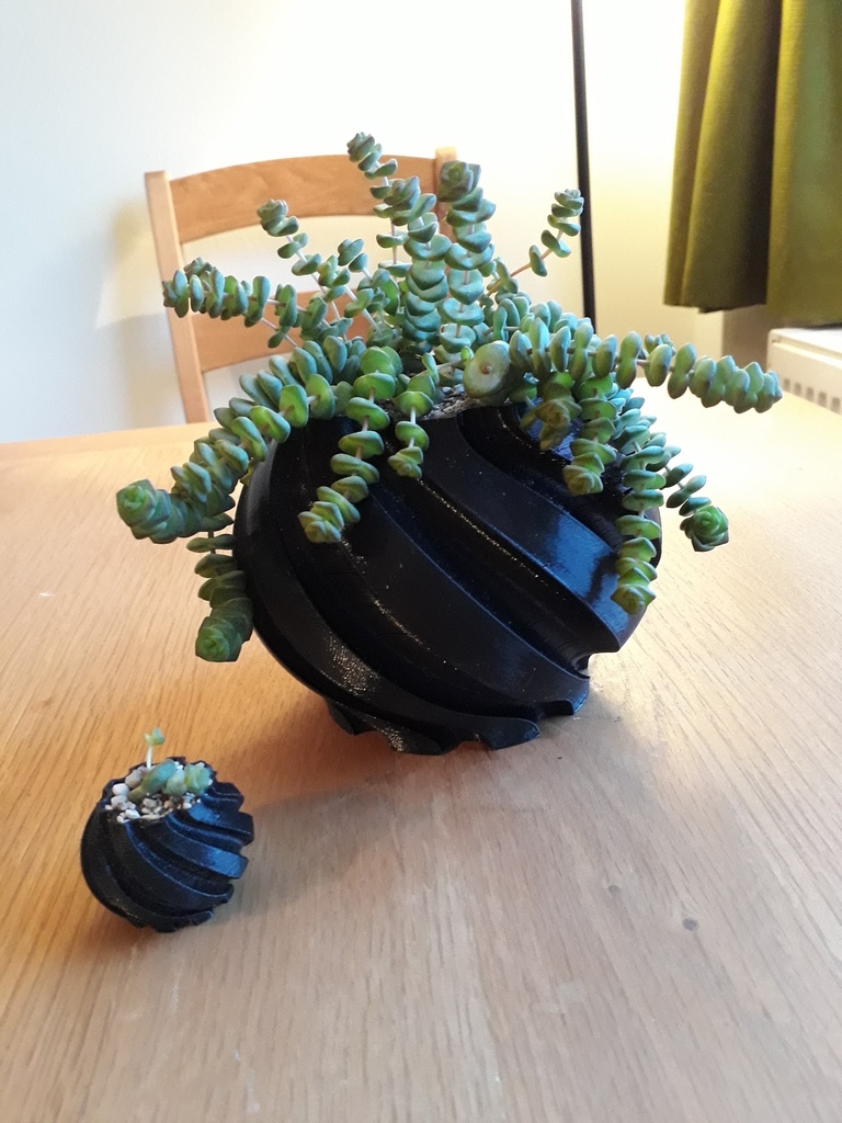 Twisted Plant Pot by MegaAndy | Download free STL model | Printables.com