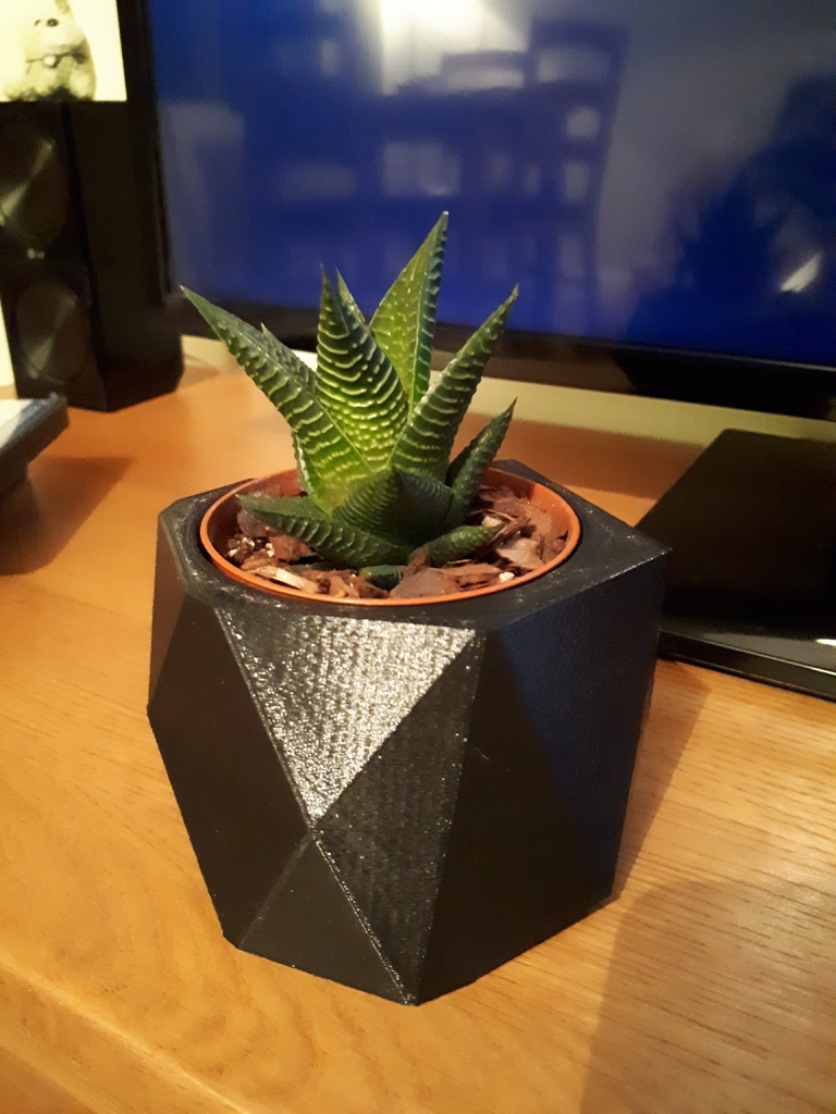 Low Poly Plant Pot by MegaAndy | Download free STL model | Printables.com