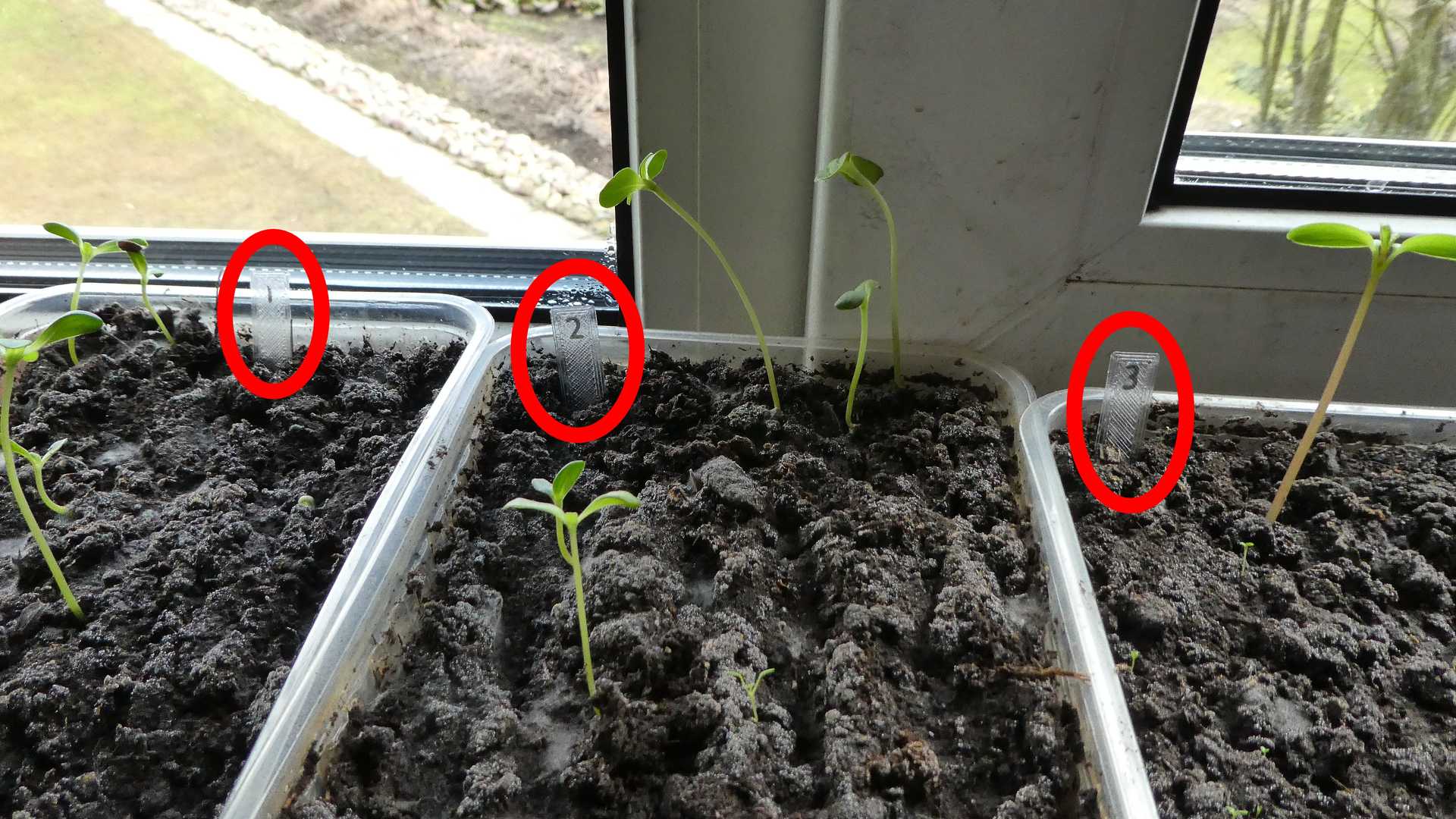 Seedlings and little plants labels/tags with numbers (10x50 mm, 30 pcs ...