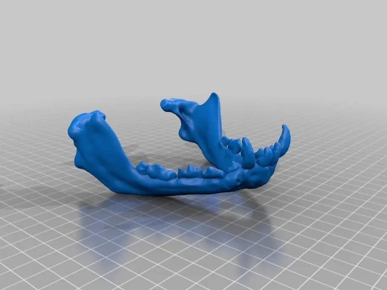 Pug skull by VoxInaudita | Download free STL model | Printables.com