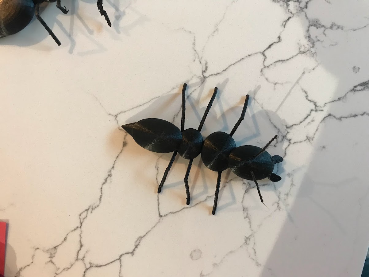 Ant Model by Zpif | Download free STL model | Printables.com