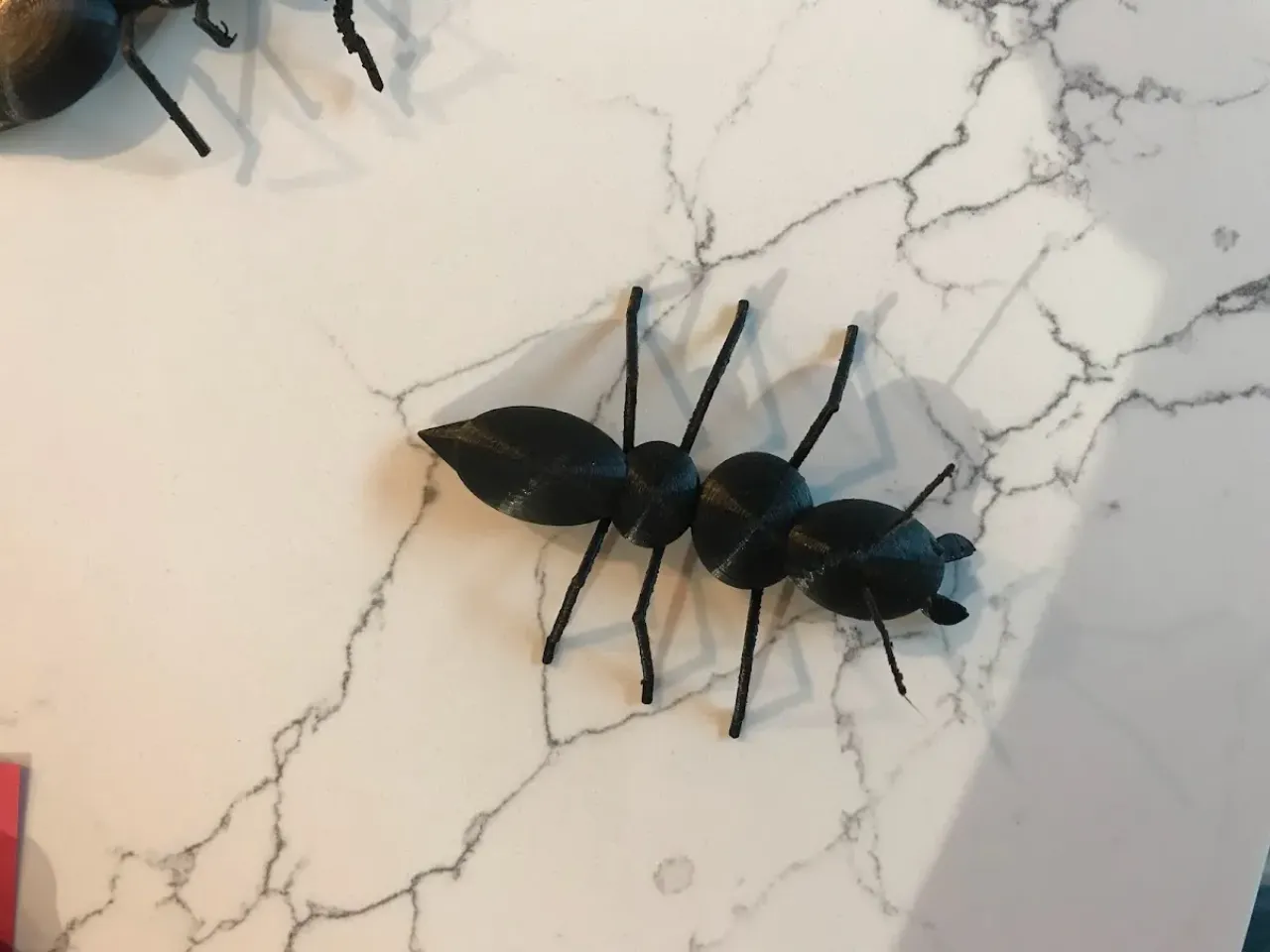 Ant Model by Zpif | Download free STL model | Printables.com