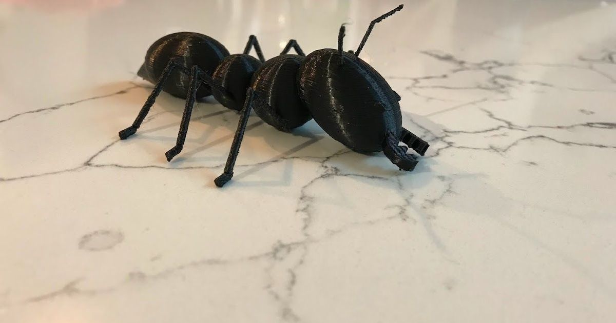 Ant Model by Zpif | Download free STL model | Printables.com