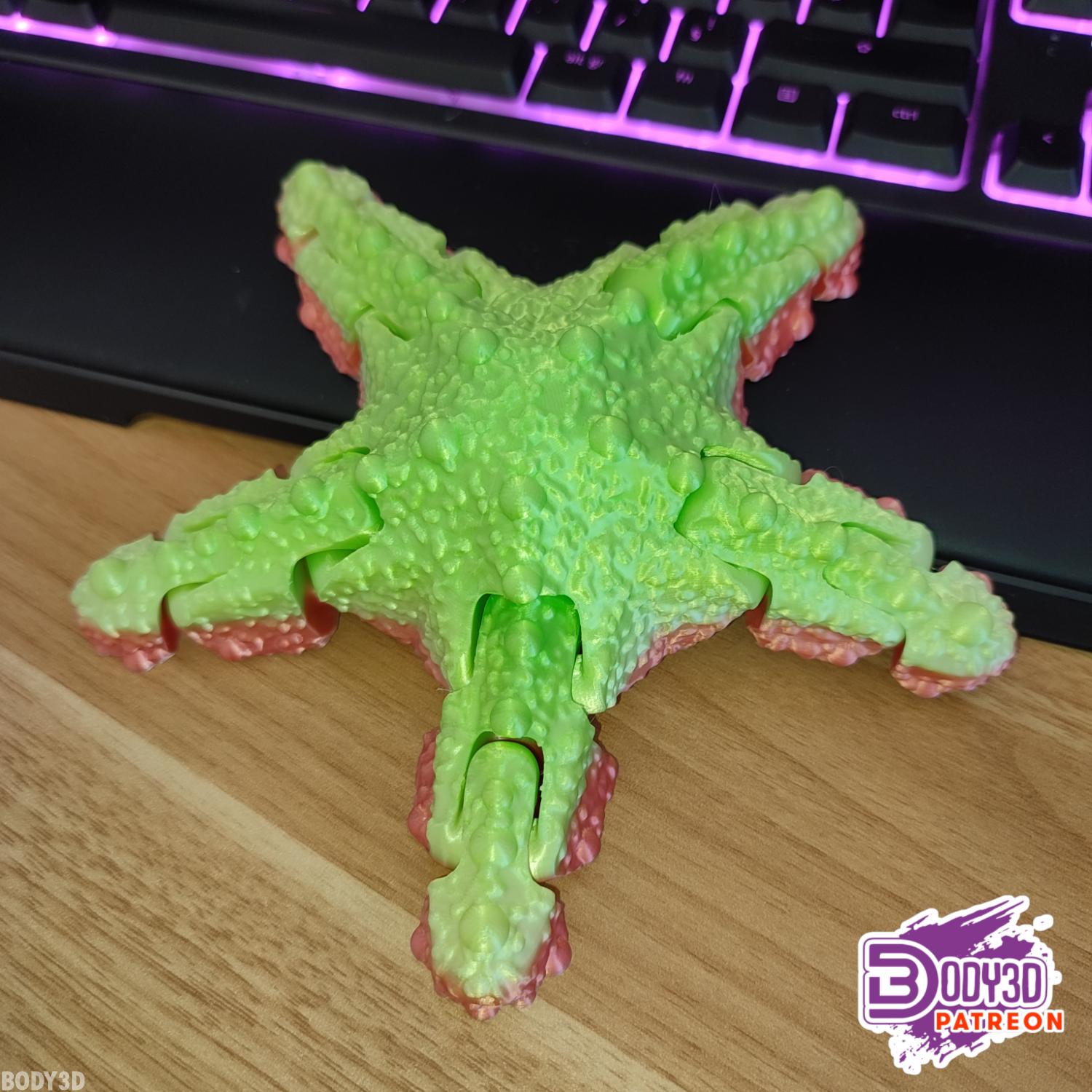 Articulated Starfish by BODY3D | Download free STL model | Printables.com