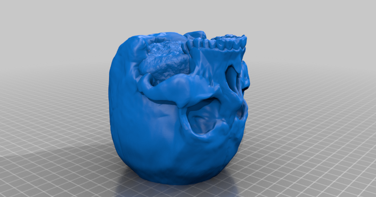 SodaSkull by BODY3D | Download free STL model | Printables.com